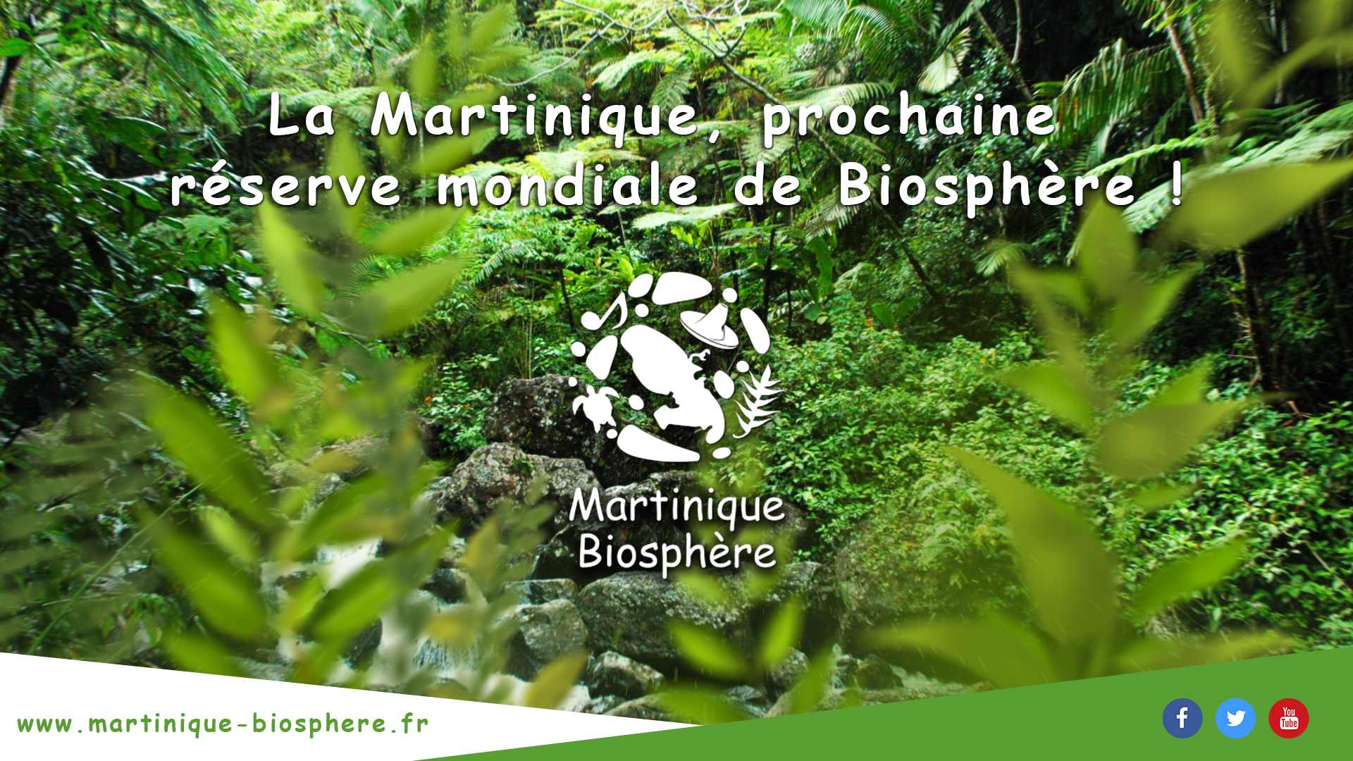 La Martinique, prochaine réserve mondiale de Biosphère